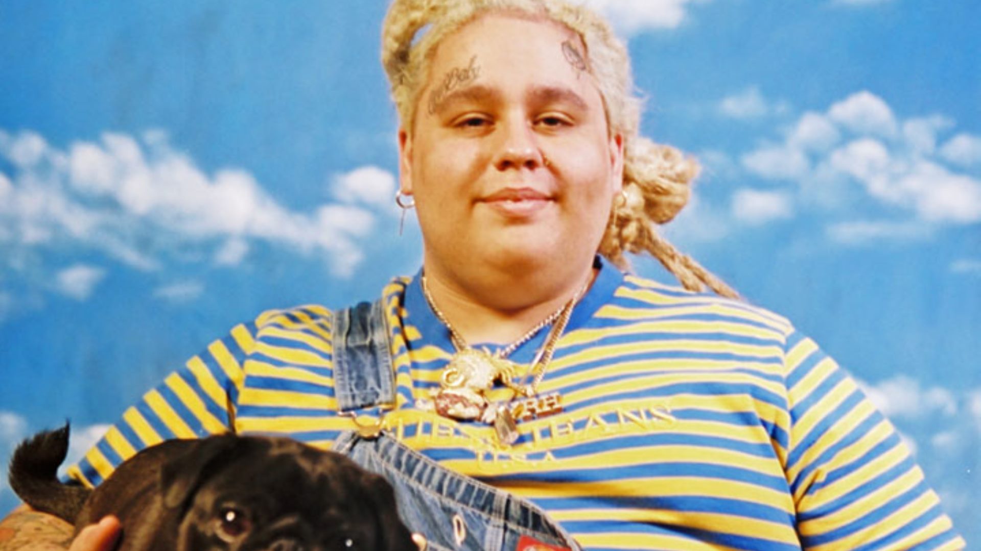 Fat Nick (CANCELED) · Bitterzoet