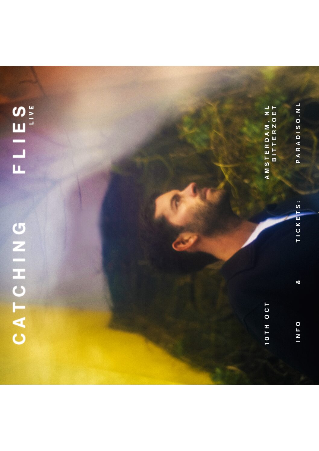 Catching Flies · Bitterzoet